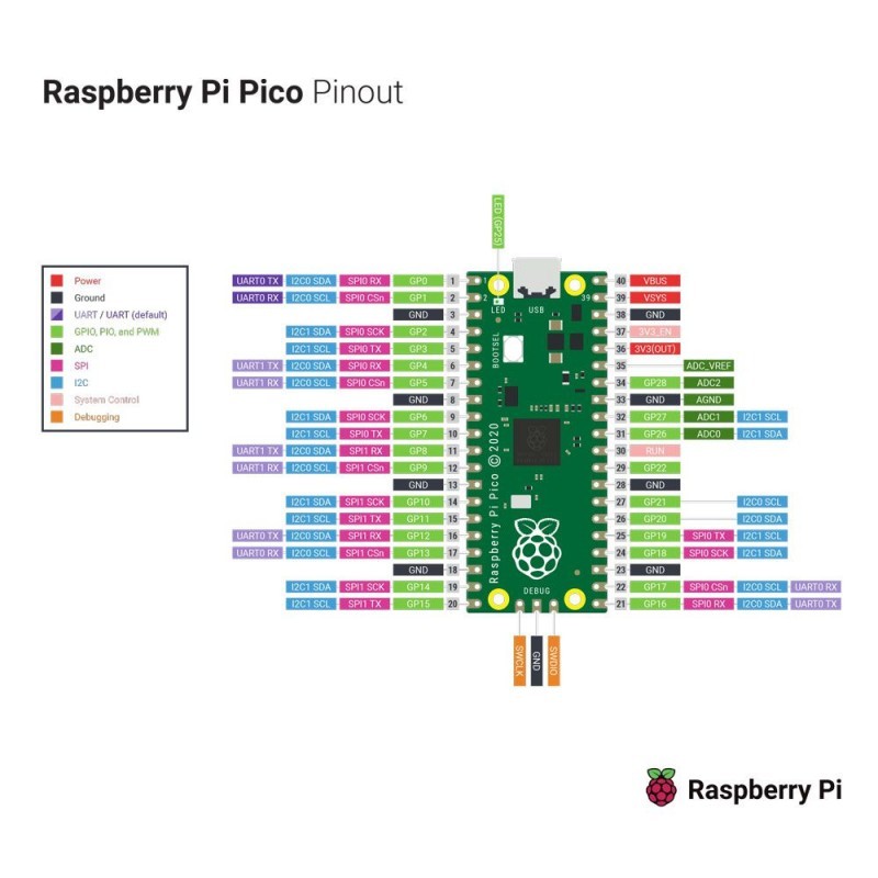 Raspberry Pi Pico Tipo Placa y pines